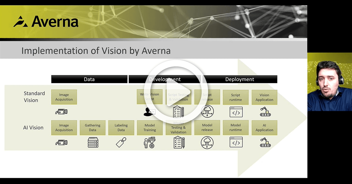 Standard Vision or Vision AI?